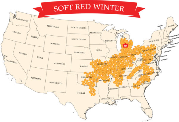 Learn About Wheat | The King Milling Company