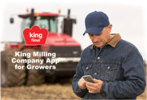 Cash Bids | The King Milling Company